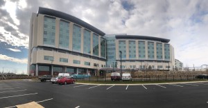 Evolution - Overly by ECMS