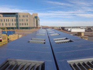 Evolution - Overly by ECMS